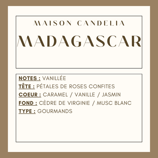 Bougie parfumé Jesmonite Madagascar - Vanille – Maison Candelia